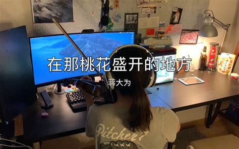 「不靠谱小提琴」cover蒋大为《在那桃花盛开的地方》 Bilibilib站无水印视频解析——yiuios易柚斯