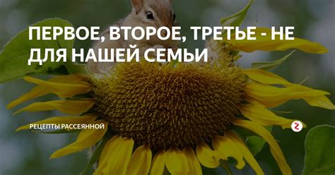ПЕРВОЕ ВТОРОЕ ТРЕТЬЕ НЕ ДЛЯ НАШЕЙ СЕМЬИ РЕЦЕПТЫ РАССЕЯННОЙ Дзен