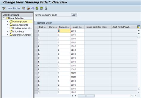 Automatic Payment Program Run F110 Sap Tutorial