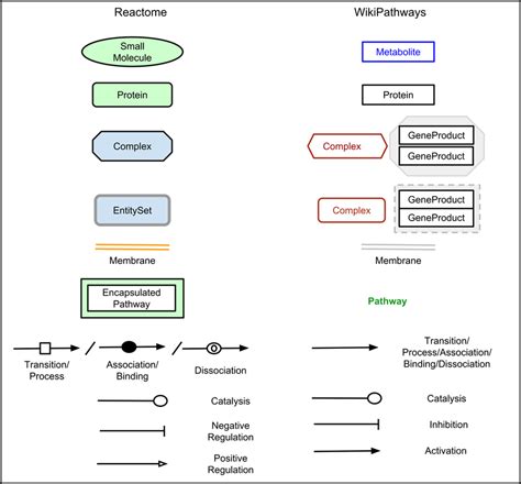 Mapping Reactome Pathways Elements To Wikipathways Pathway