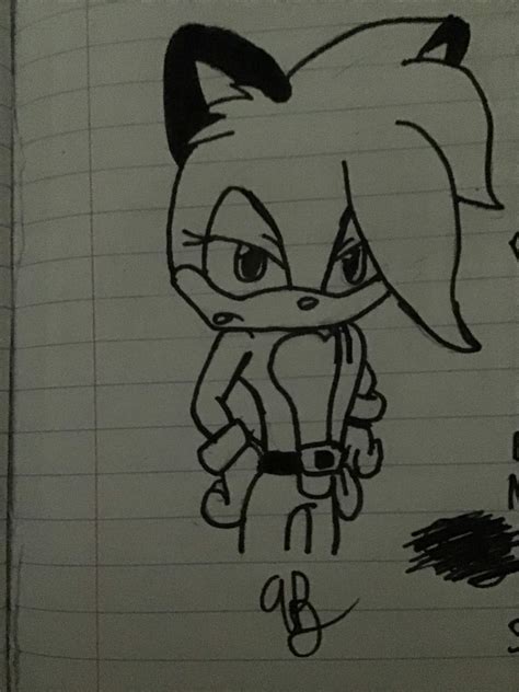 Barby Koala Wiki Sonic The Hedgehog Amino
