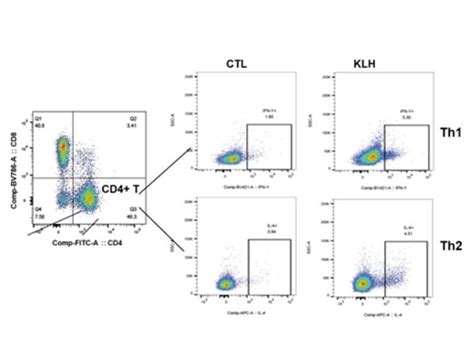 T Cell Dependent Antibody Response Tdar Nonhuman Primates Disease