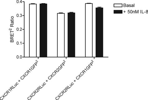 Il8 Does Not Modulate Cxcr1 Or Cxcr2 Homo Or Heteromeric Interactions