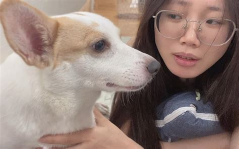 想打狗，但是找不到理由 大喵同志 大喵同志 哔哩哔哩视频