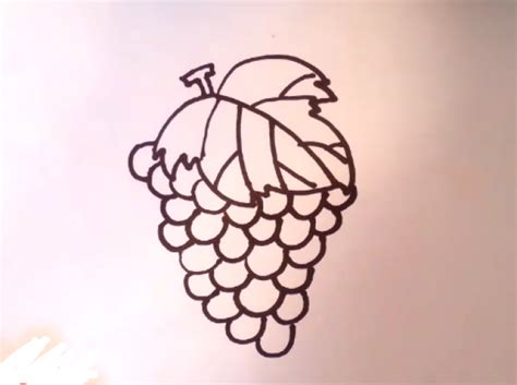 葡萄简笔画儿童画画简笔画儿童画简笔画儿童画大山谷图库