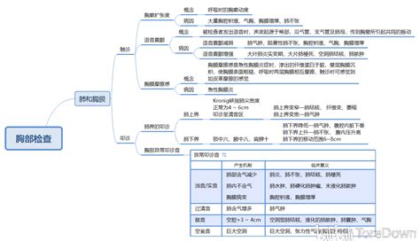 诊断学 思维导图 哔哩哔哩