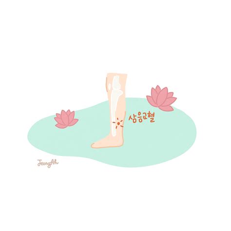 요가 일기 연꽃자세를 그렸어요