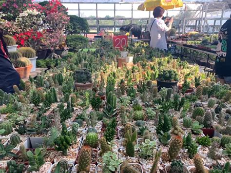 งาน เกษตรแฟร์ 2566 บางเขน มีวันไหน เริ่มวันไหน เช็คกำหนดการที่นี่