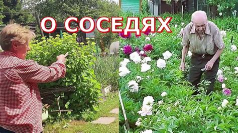 У моих соседей всегда есть чему подивиться Youtube