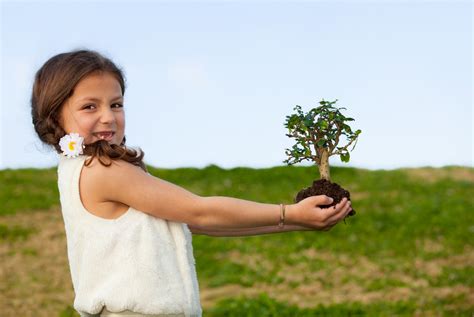 El Medio Ambiente Y Los Niños Embarazoymas