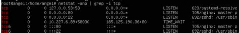 linux Cómo puedo acceder a la página web de mi servidor Nginx desde