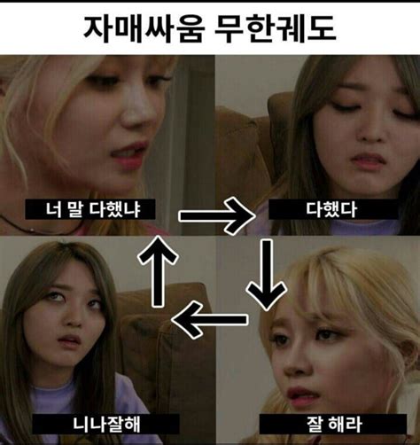 자매싸움 흔한구도 인스티즈instiz 이슈 카테고리