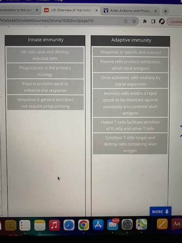 Module Study Guide Flashcards Quizlet