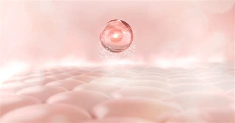 Stem Cells — Fountain Of Youth Healing Is Skin Deep And Heres How Yo