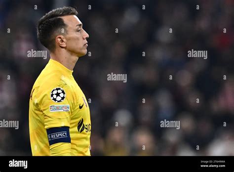 Munich Germany November 8 Fernando Muslera Of Galatasaray During