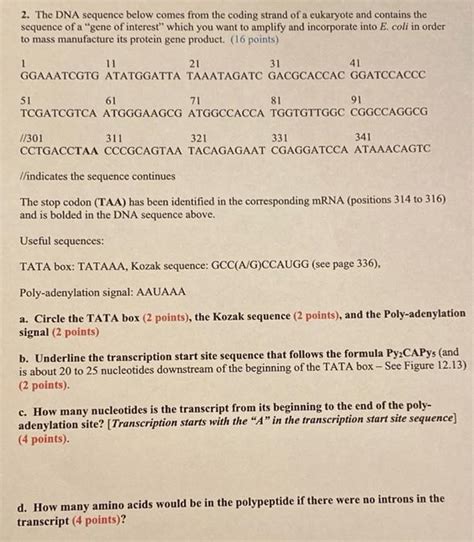 The DNA Sequence Below Comes From The Coding Chegg