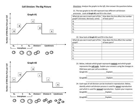 Mitosis Vs Meiosis Chart Mitosis Vs Meiosis Key Differences Chart And