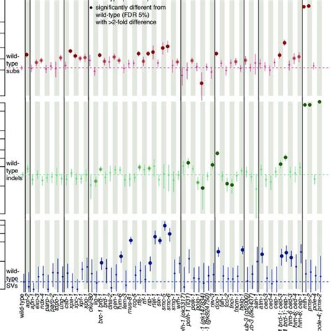 Mutation Rates Across 60 C Elegans Genotypes Stratified By Mutation Download Scientific