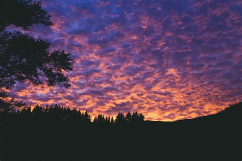 Free Images Tree Horizon Silhouette Cloud Sunrise Sunset