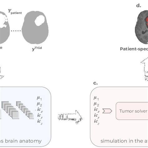 a sketch of the inference procedure of the learn morph infer pipeline