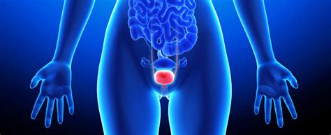 Askus3416 Center For Young Womens Health