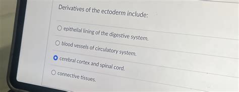Solved Derivatives Of The Ectoderm Include Epithelial Lining Chegg Com