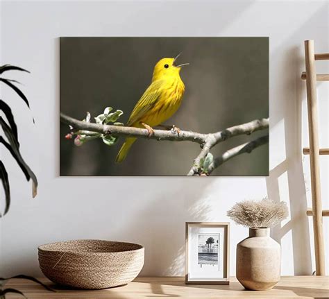 Ebern Designs Warbler Songbird Wayfair