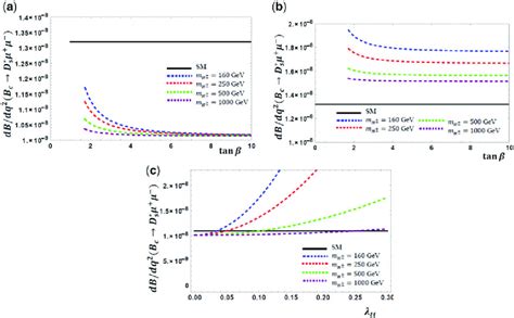 A Variation Of Differential Branching Ratio Of B C → D S μ μ −