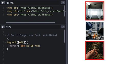 New Style To Add On Your Reset Stylesheet Youll Never Forget Another Alt Attribute On Any