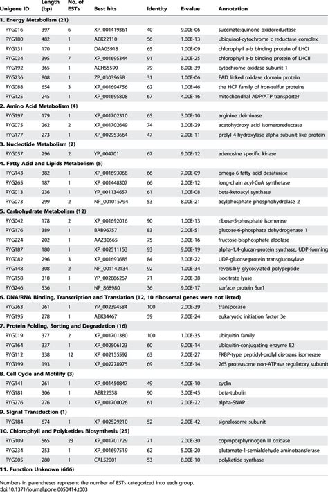 Functional Classification Of The Differentially Expressed Genes In