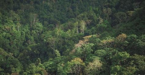 รวมรูปภาพของ “ภูหินร่องกล้า” 2 วัน 1 คืน นอนหนาว ล่าหมอก กอดธรรมชาติ