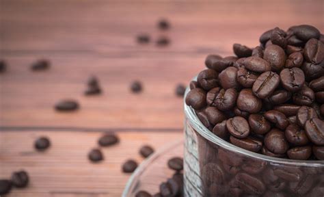 신선한 유기농 커피 콩과 구운 콩으로 채워진 유리 에스프레소 컵을 나무 바닥에 닫고 공간을 복사합니다 0명에 대한 스톡 사진 및 기타 이미지 Istock