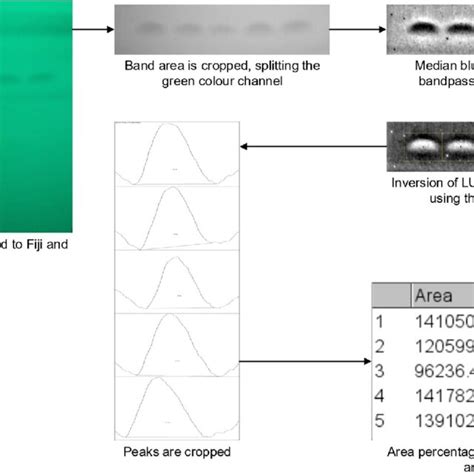 Method Proposal For Ibuprofen Quantification Using Digital Image Download Scientific Diagram