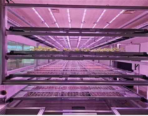 농진청 기술이전 연간 1300건기술 혁신이 농업 경쟁력