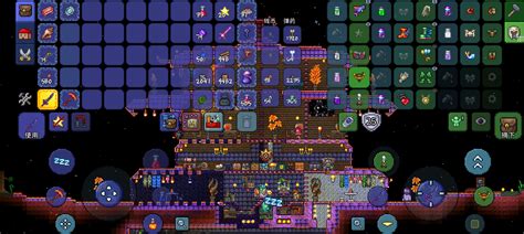 挺喜欢肝的大佬提一下还有什么肉前要做的工作 泰拉酒馆