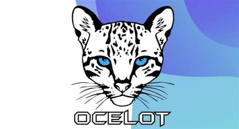 Ocelot Api Gateway Net En Español