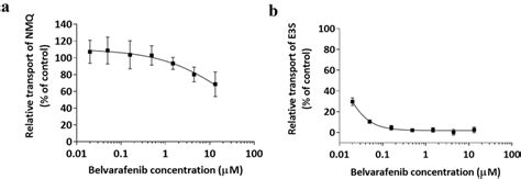P Gp And Bcrp Mediated Transporters In Vesicles Expressing P Gp And Download Scientific
