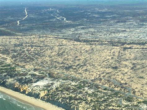 El Incendio De Doñana Ha Afectado A Más De 70 Especies De Aves Y A
