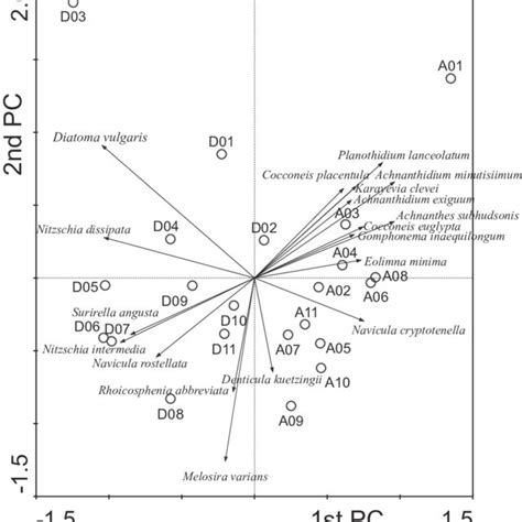 Pca Biplot Based On The Square Root Of Diatoms Relative Abundance
