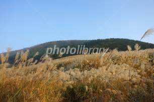 Photolibrary