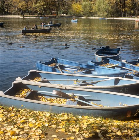 Златната есен през обективите на СЪВЕТСКИТЕ фотографи СНИМКИ Russia Beyond България