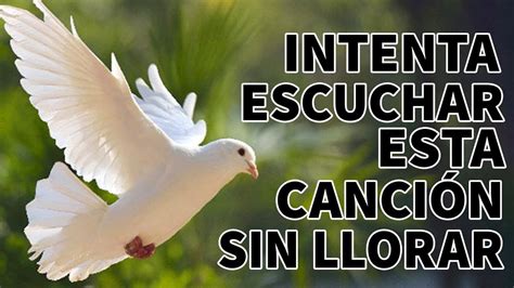 LA CANCIÓN CRISTIANAS MAS HERMOSA DEL MUNDO 2023 INTENTA ESCUCHAR