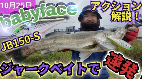 秋熱湾奥シーバス 一枚下を狙うジャークベイトでコノシロパターンを釣る babyface 東京湾シーバス ベイトシーバス 秋爆