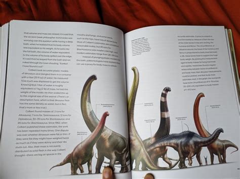 Dinosaur Behavior An Awesome Book Rdinosaurs