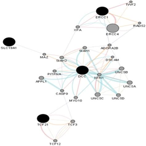 A Network Analysis Of The Associated Genes Using Genemania Database Download Scientific Diagram