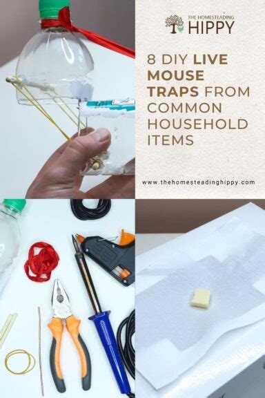 DIY Live Mouse Traps From Common Household Items