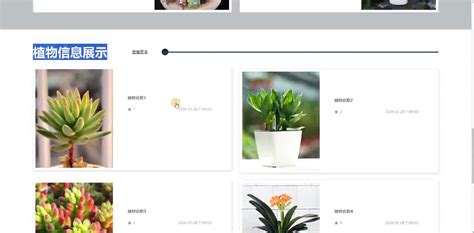 基于java springboot vue花园管理系统 源码 lw 调试文档 讲解等 园林管理系统 花园设计软件 花园规划系统 庭院管理系统