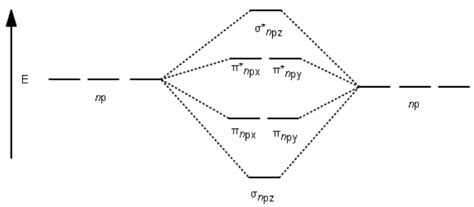 What Is The Molecular Electron Configuration Of F 2 Cbse Tuts