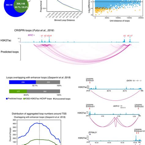 Cross Species Long Range Chromatin Loop Predictions A Diagram For Download Scientific