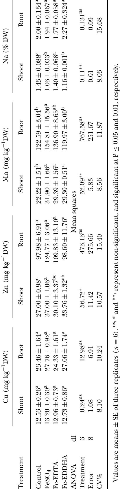 Of Foliar Application Of Various Fe Sources On Micronutrient Download Scientific Diagram